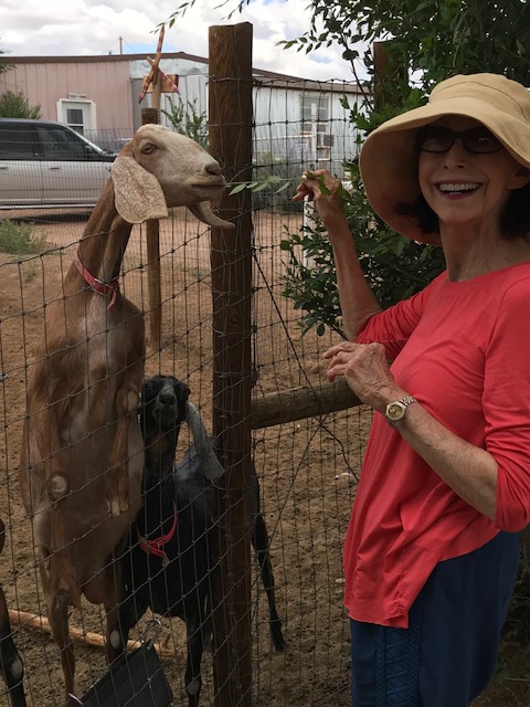 coco-2 – Marcia Fine